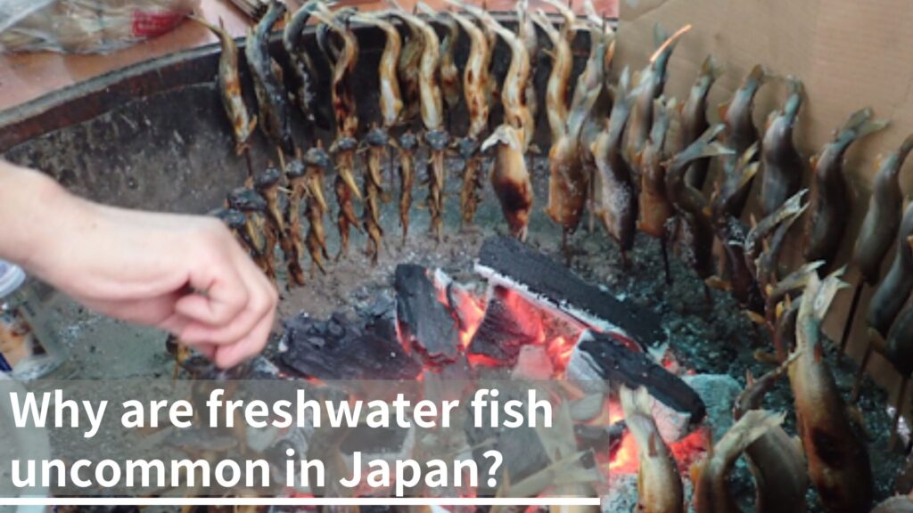 Funa-zushi (Fermented Crusian Carp): Exploring the Origins of Japanese ...